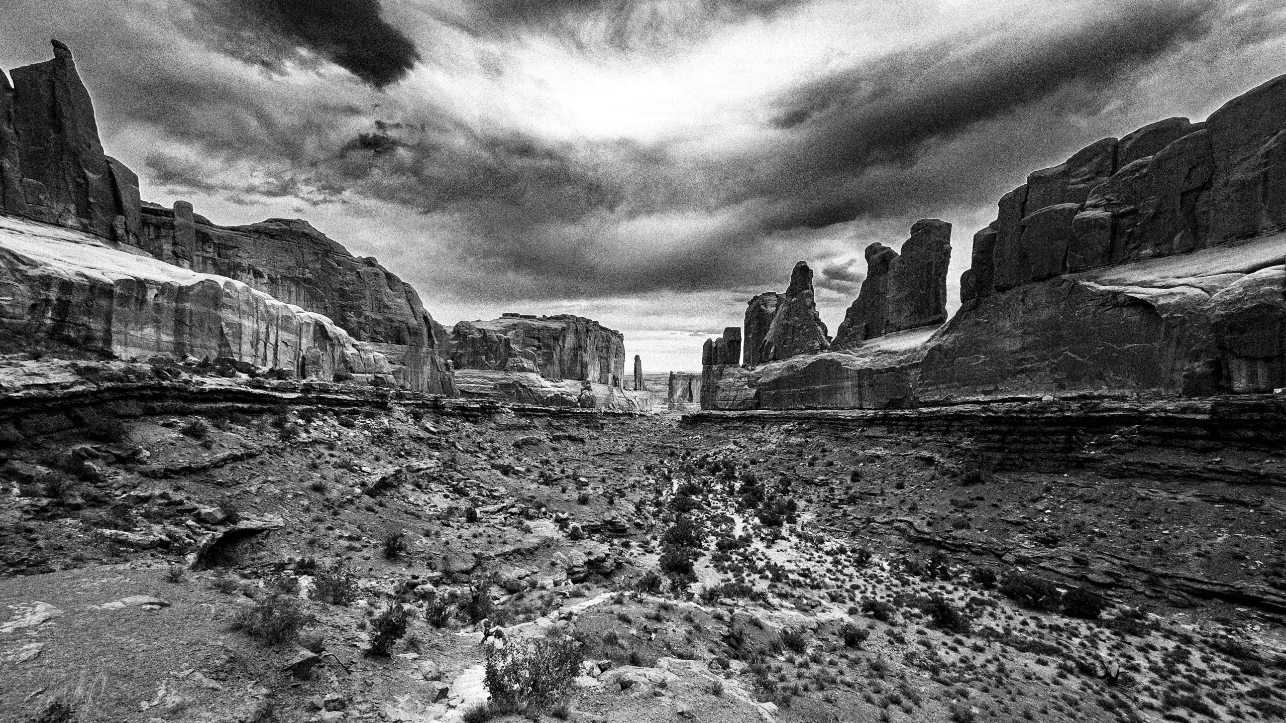 USA | Matt Harris - Filmmaker